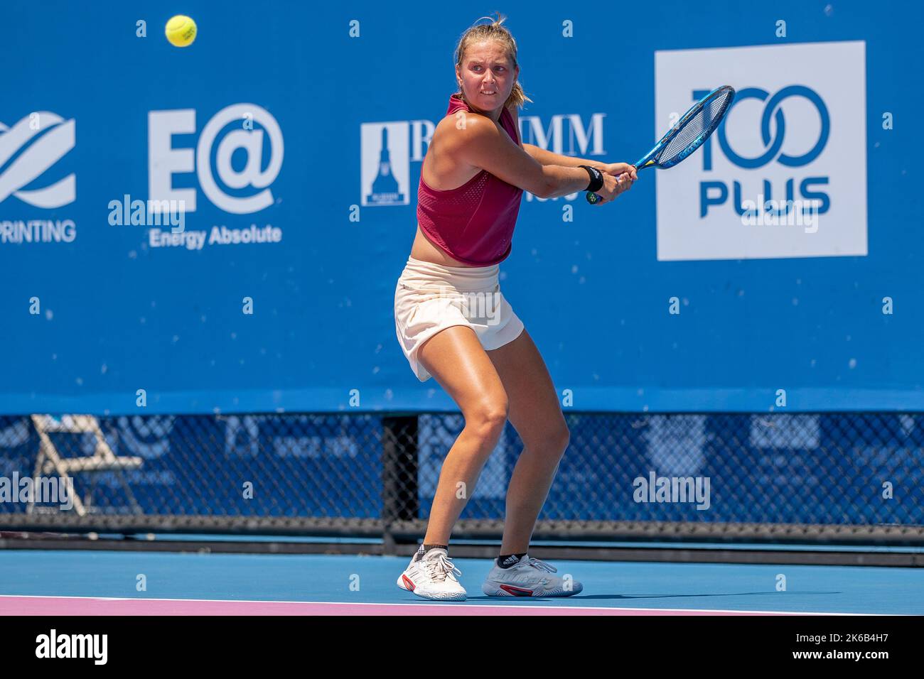 Emil seibold -Fotos und -Bildmaterial in hoher Auflösung – Alamy