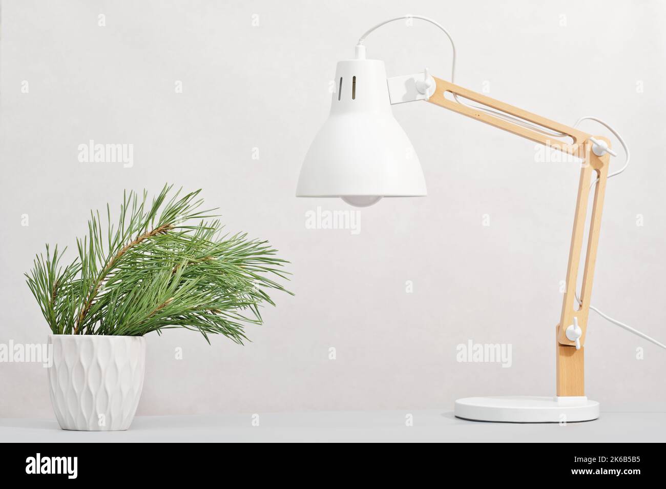 pine tree branch in white flowerpot on a table next to desk lamp ...