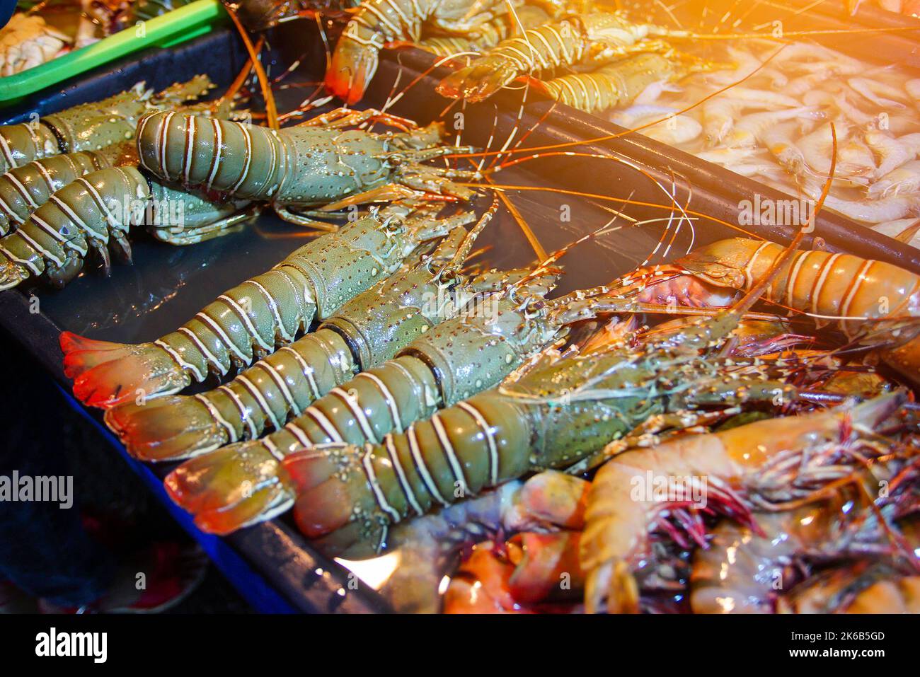 Variety of grilled seafood in Kota Kinabalu night market in Kota ...