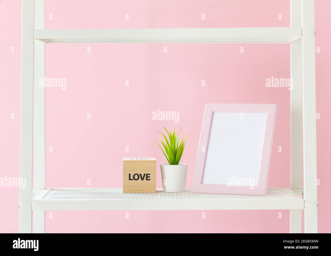 White bookshelf with books and plant against pink wall Stock Photo - Alamy