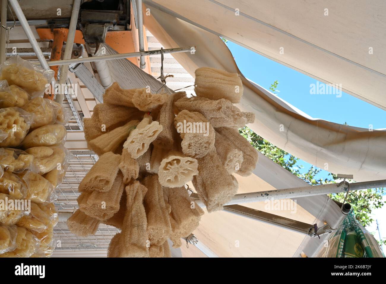 Sea sponges dried and hanging in a market stall Stock Photo - Alamy
