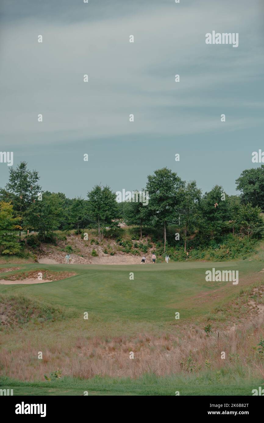 A vertical shot of a green natural golf course in the Grand Rapids ...