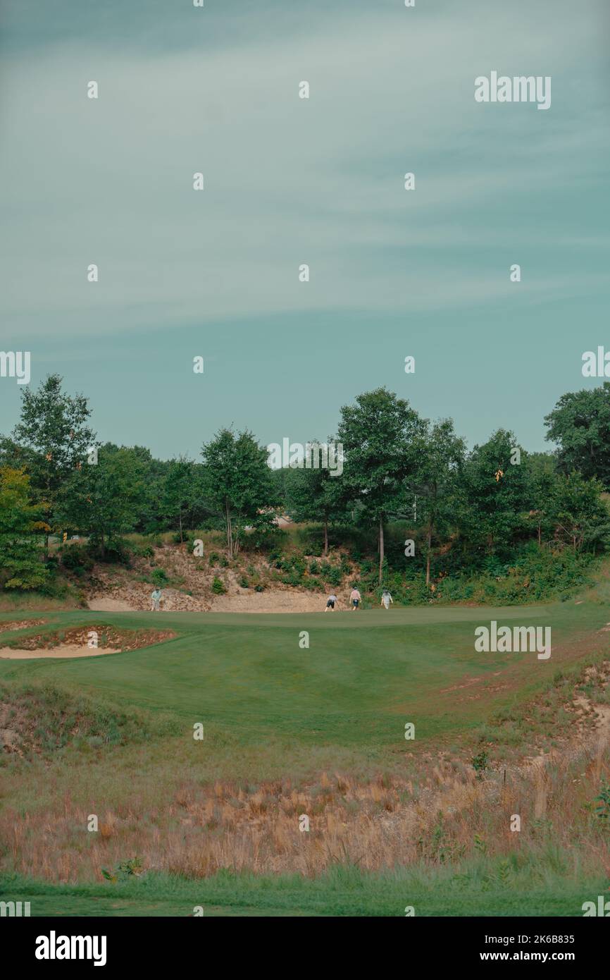 A vertical shot of a green natural golf course in the Grand Rapids ...