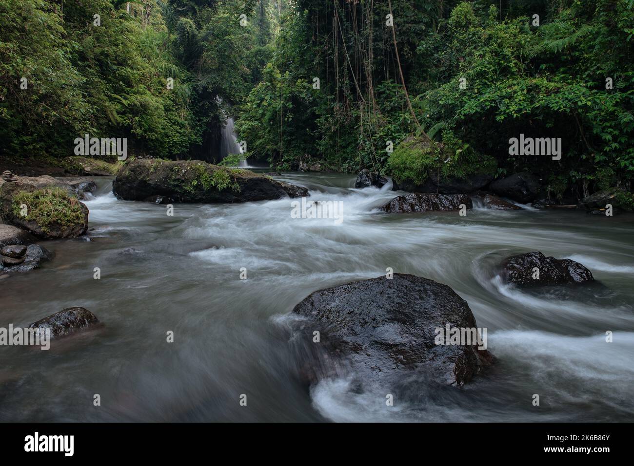 Jungle river and waterfall on background. Bali, Ubud Stock Photo - Alamy
