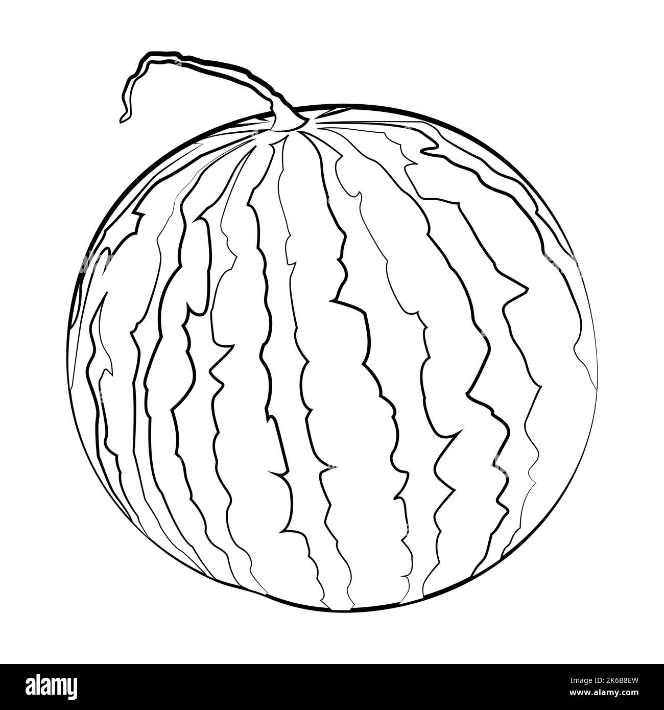 Watermelon with a thin line. Vector on a white background Stock Vector ...