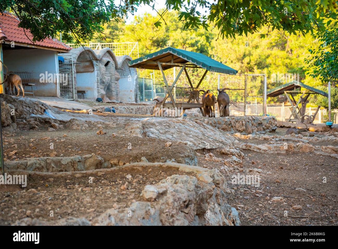 Animals in the small zoo in Antalya, Turkey Stock Photo - Alamy