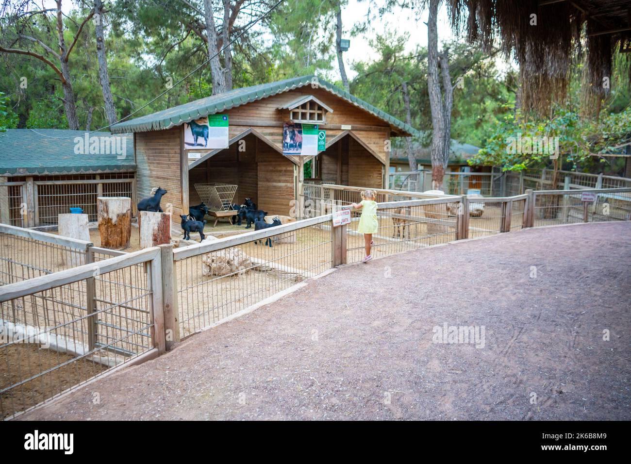 Antalya, Turkey - September 23, 2022: Animals in the small zoo in ...