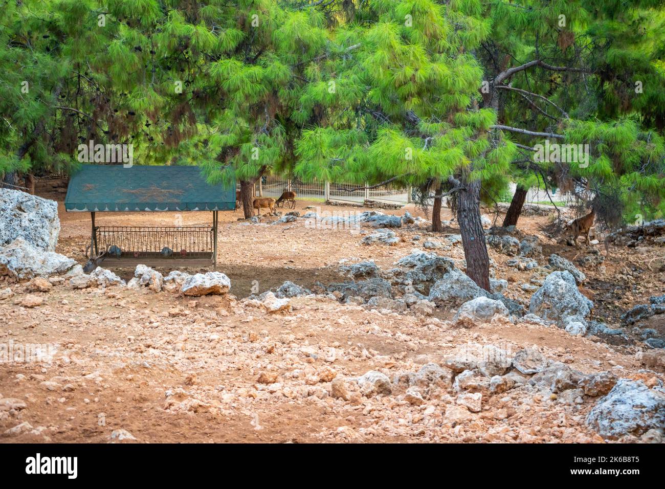 Animals in the small zoo in Antalya, Turkey Stock Photo - Alamy