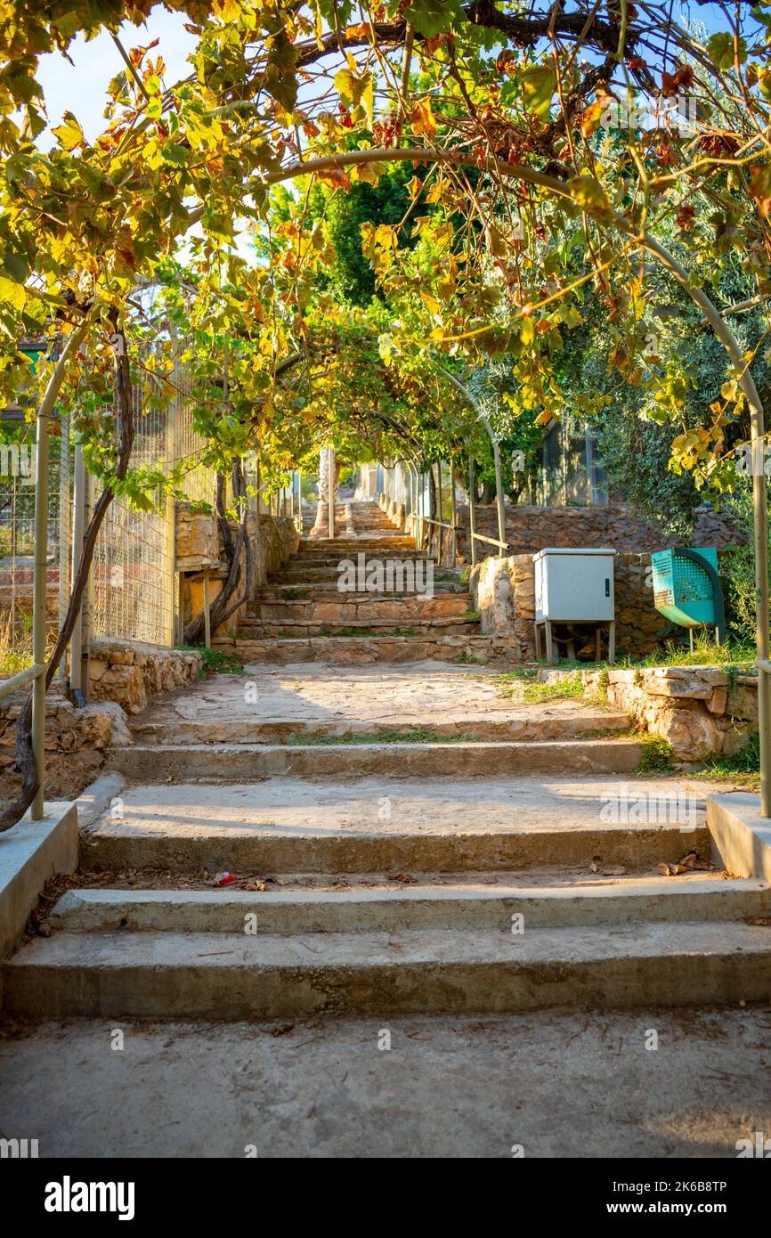Animals in the small zoo in Antalya, Turkey Stock Photo - Alamy
