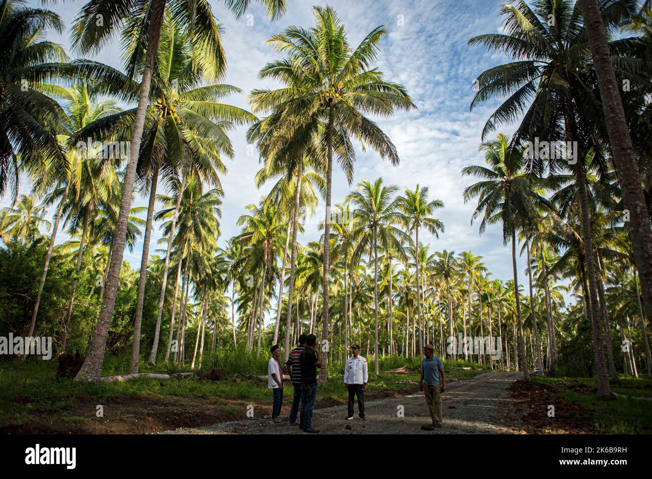 Donggala, Indonesia. 12th Oct, 2022. People gather in a coconut ...