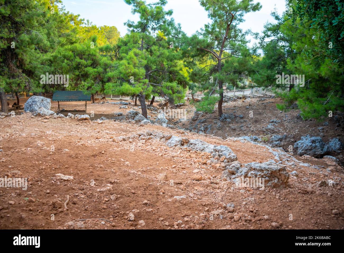 Animals in the small zoo in Antalya, Turkey Stock Photo - Alamy