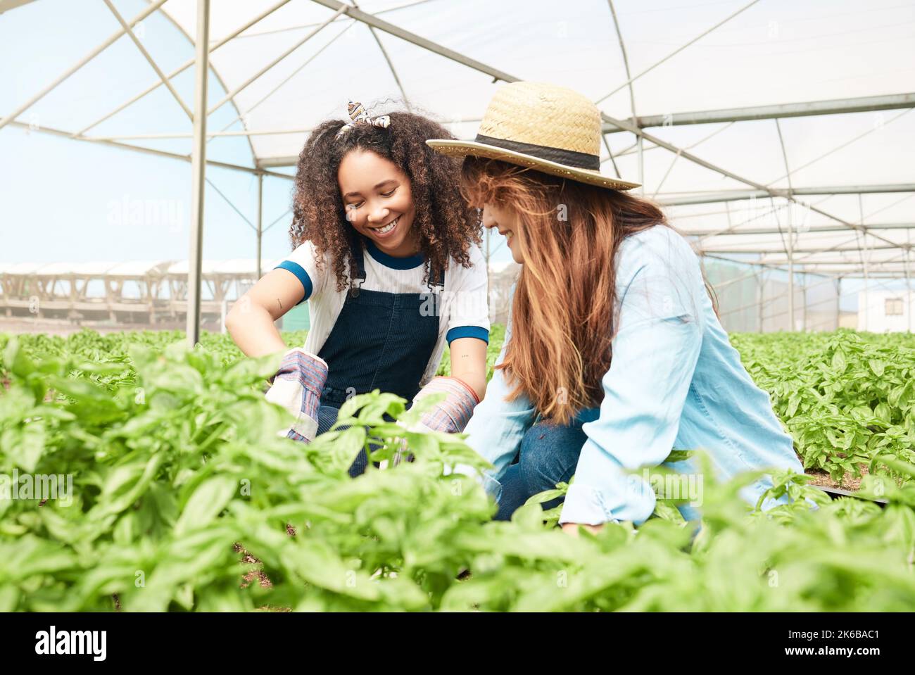 Weeding removes potential threats to crops. two young women tending to ...