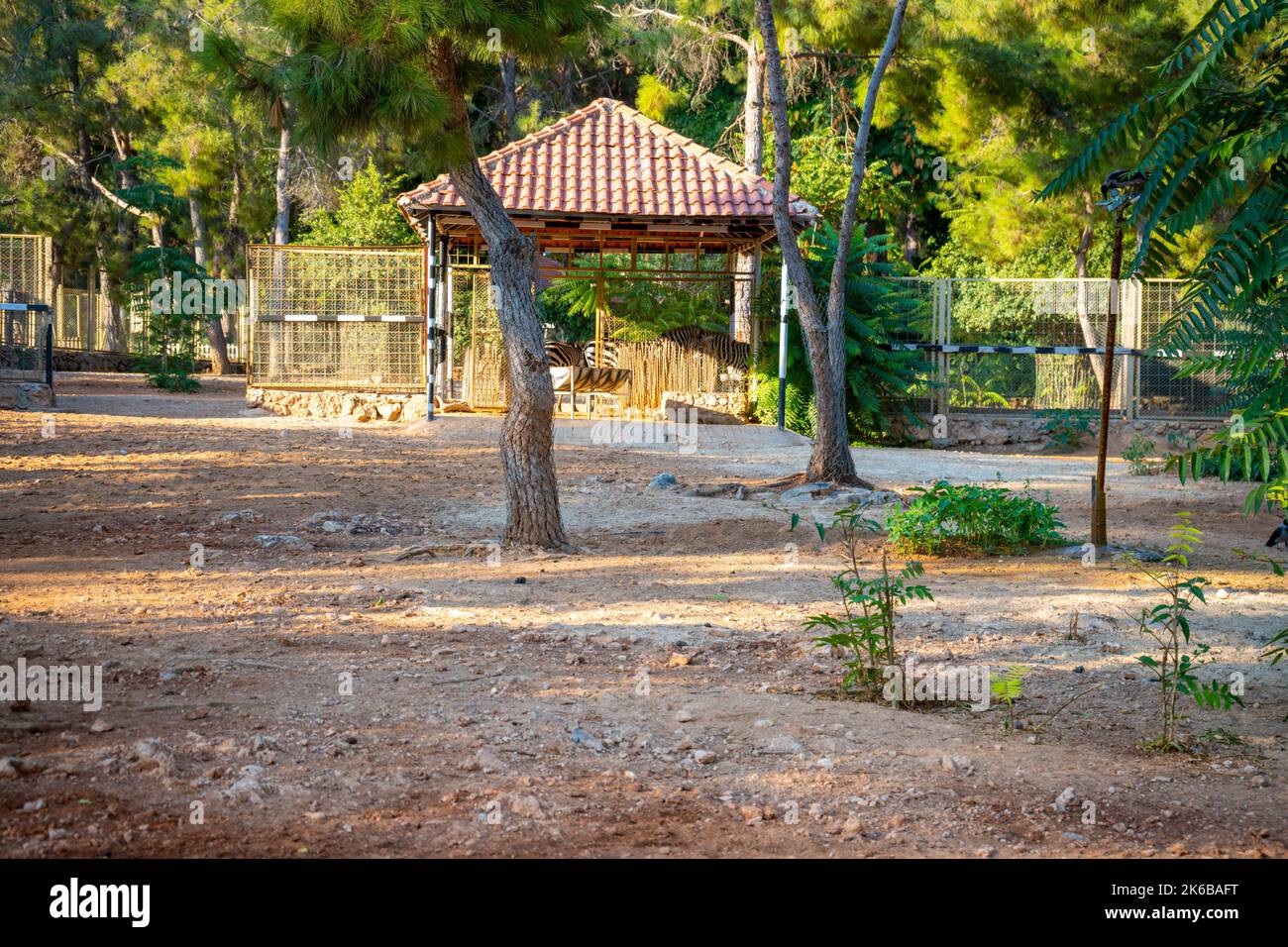 Animals in the small zoo in Antalya, Turkey Stock Photo - Alamy