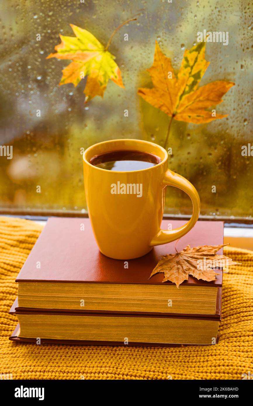cup of tea, books, autumn leaves and candle on window sill at home ...