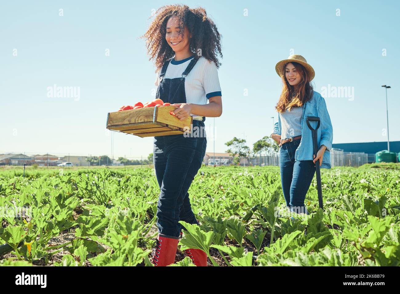 surveying the fruit of their labour. two female farmers coming in from ...