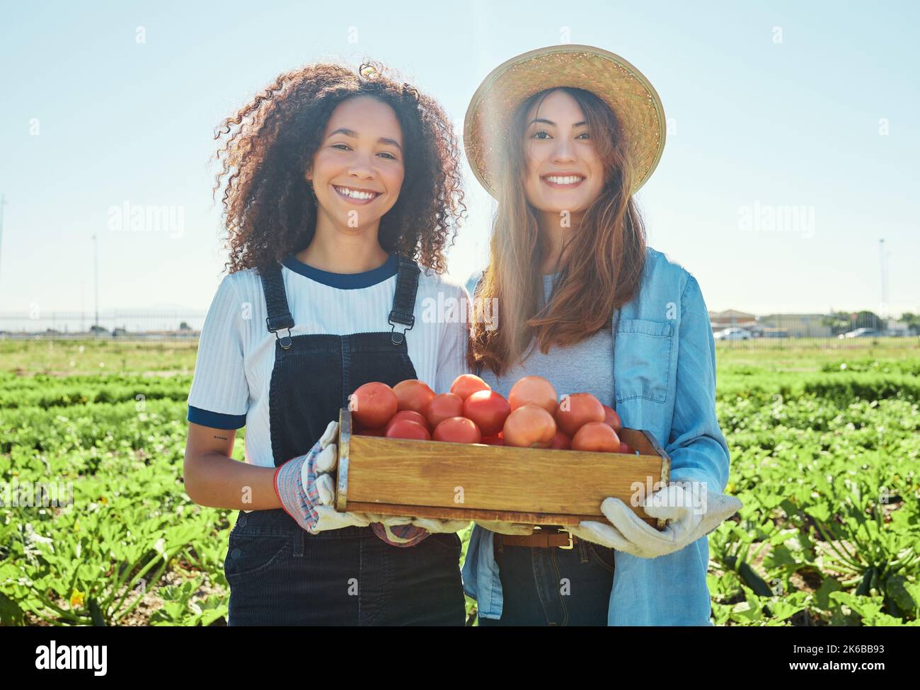 Fresh from nature. two female farmers holding a crate of freshly harvested tomatoes Stock Photo ...