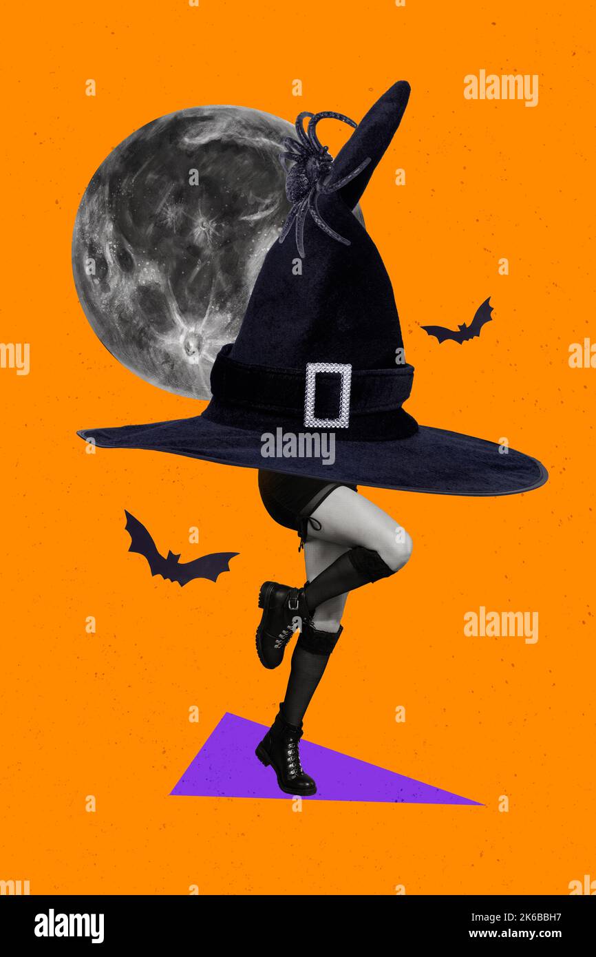 Vertical creative collage picture of witch girl black white gamma legs ...