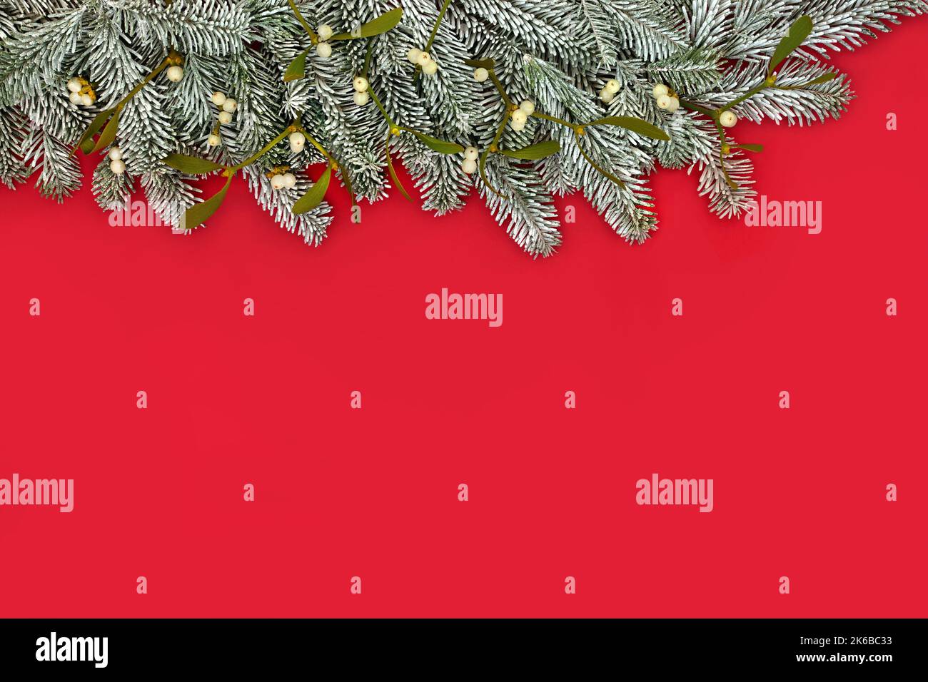 Christmas snow fir mistletoe background border. Traditional pagan ...