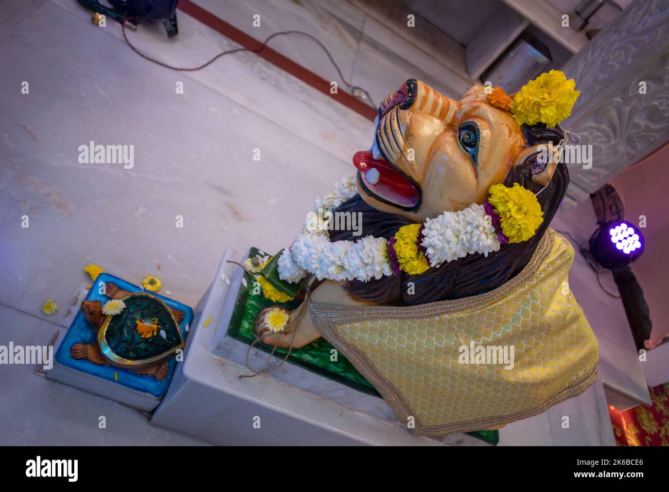 Lion, the vahan of Maa Durga being worshipped at a temple in Mumbai for ...