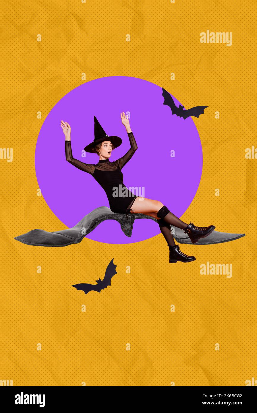 Vertical collage picture of astonished conjurer girl sit flying bit bat ...