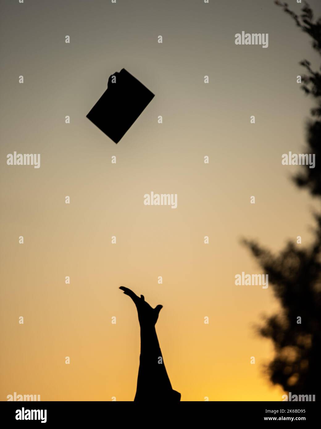A silhouette of a hand throwing a graduation cap in the air Stock Photo ...