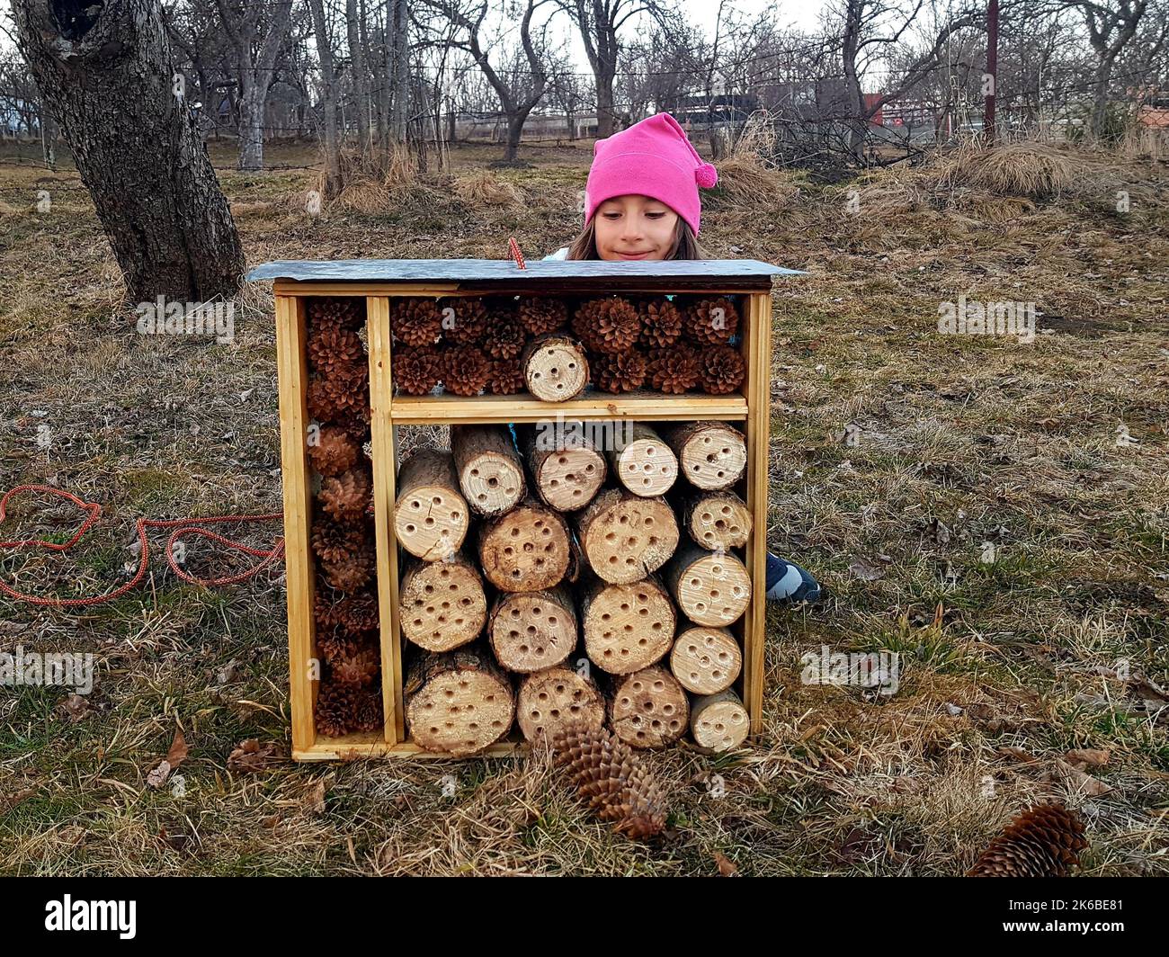 Kid taking care of a bug, insect hotel Stock Photo - Alamy
