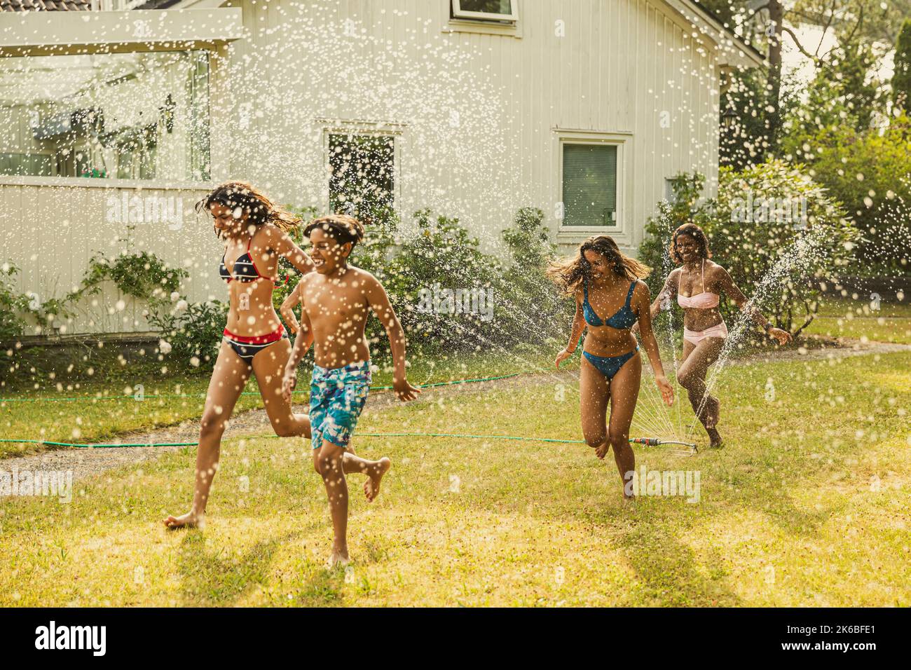 Cheerful family running through water sprinkler in back yard Stock Photo - Alamy