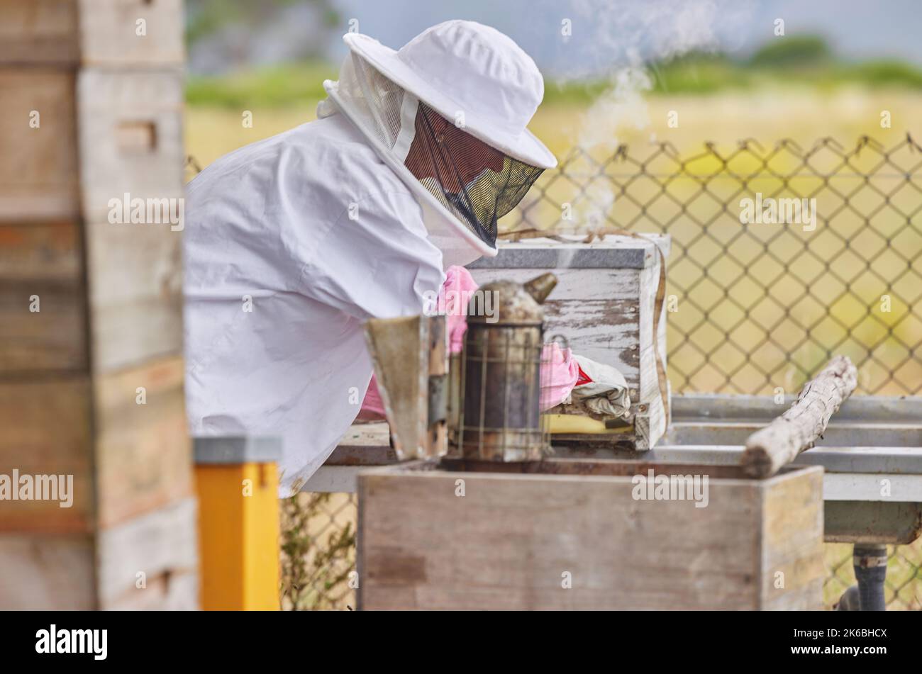 I wouldnt want to bee doing anything else. a beekeeper opening a hive ...