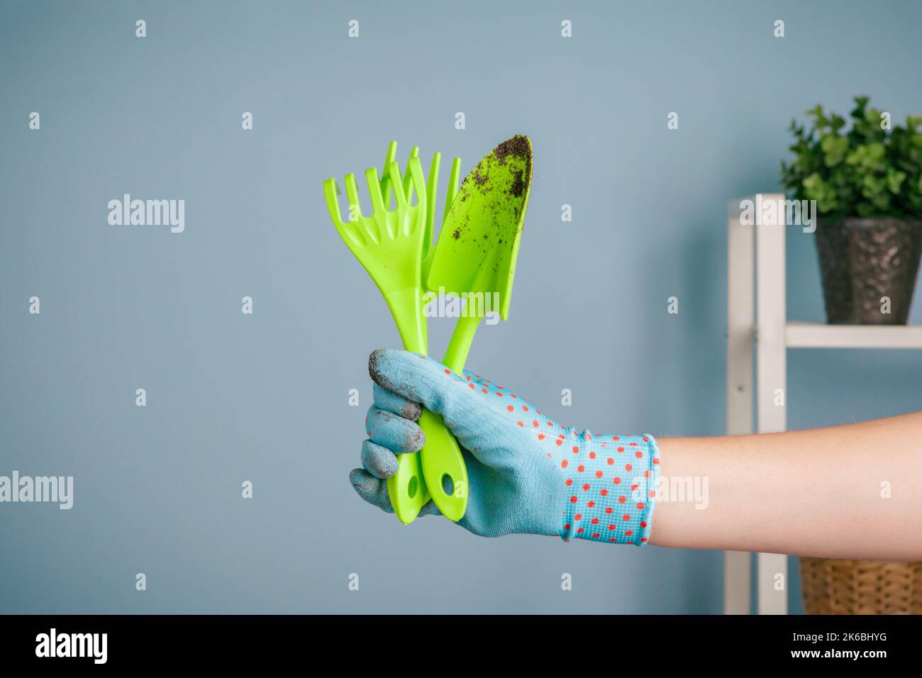 Hand holding garden tools on blue background Stock Photo - Alamy