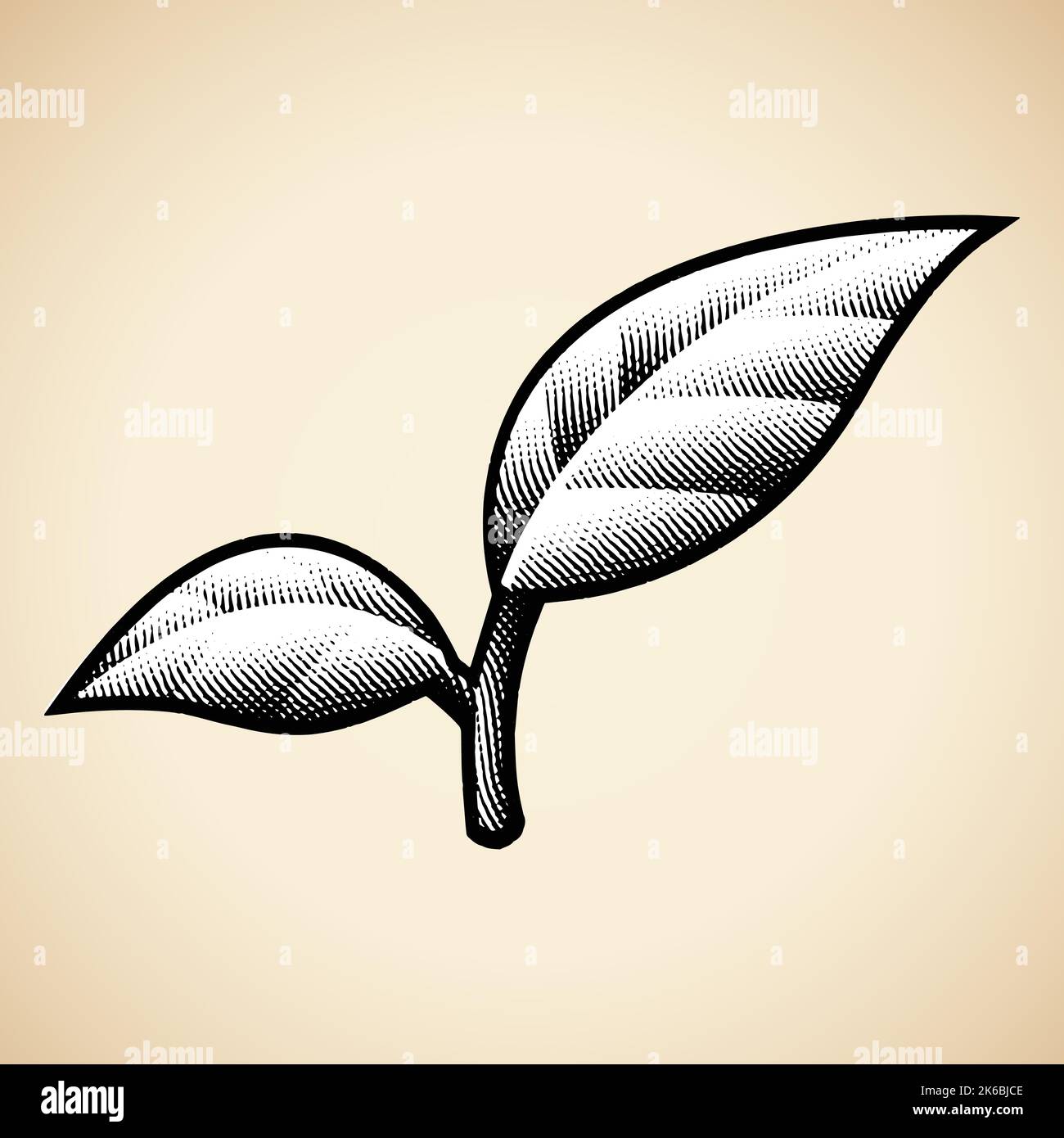 Illustration of Scratchboard Engraved Leaf Branch isolated on a Beige ...