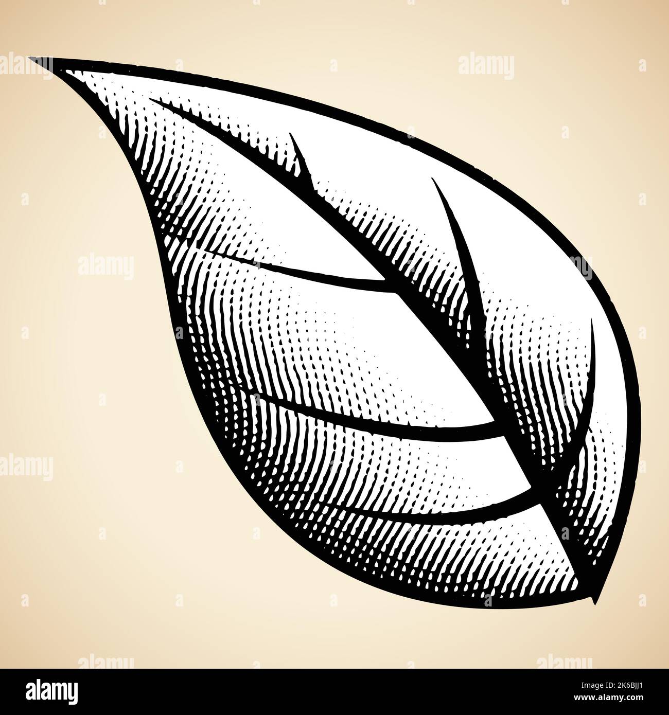 Illustration of Scratchboard Engraved Big Leaf isolated on a Beige ...