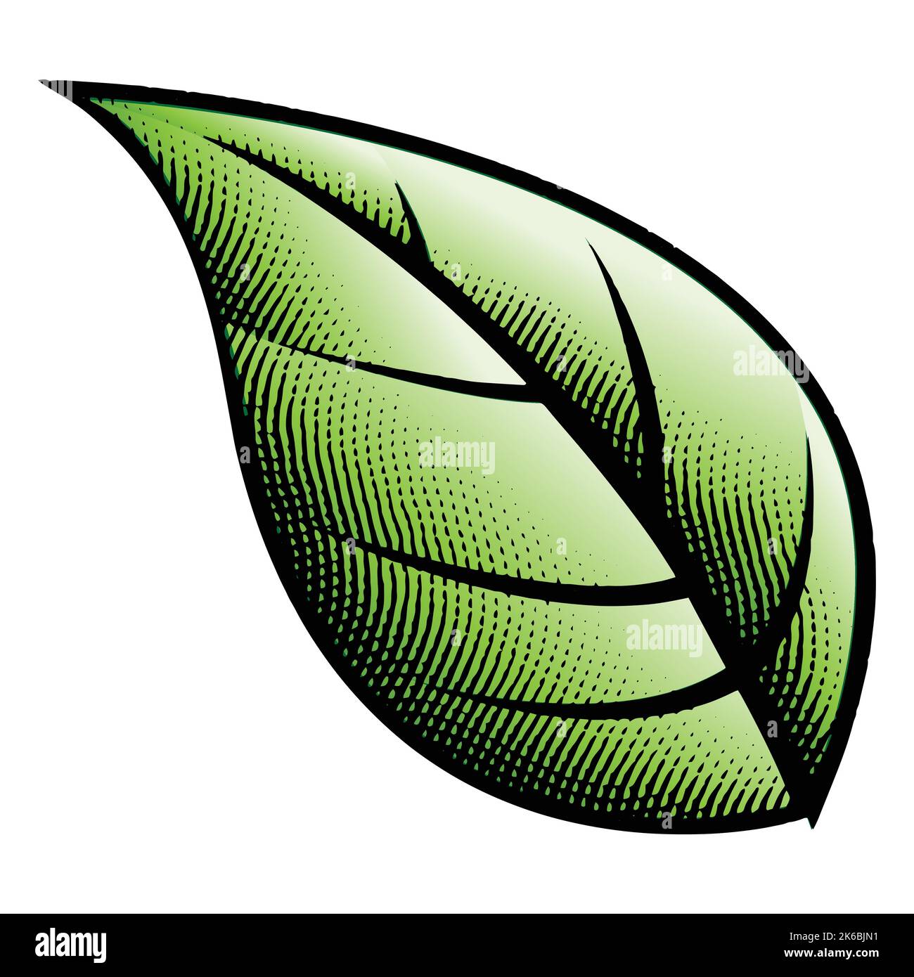 Illustration of Scratchboard Engraved Big Green Leaf isolated on a ...