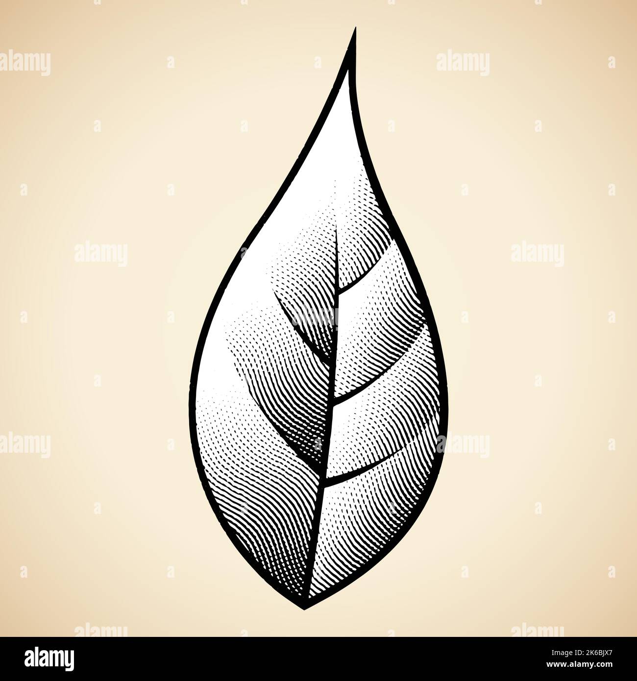 Illustration of Scratchboard Engraved Leaf isolated on a Beige ...