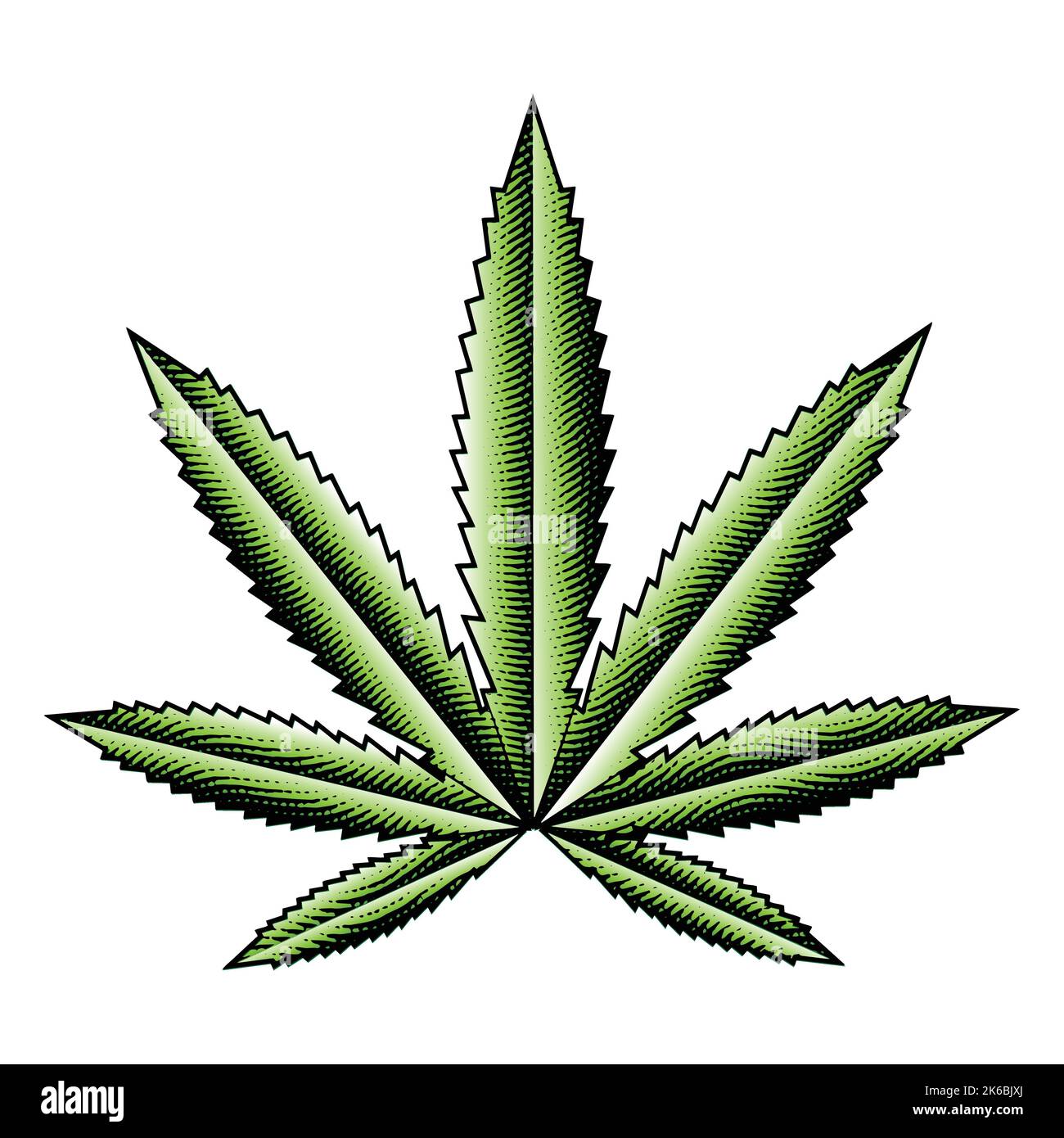 Illustration of Scratchboard Engraved Green Cannabis Leaf isolated on a White Background Stock ...
