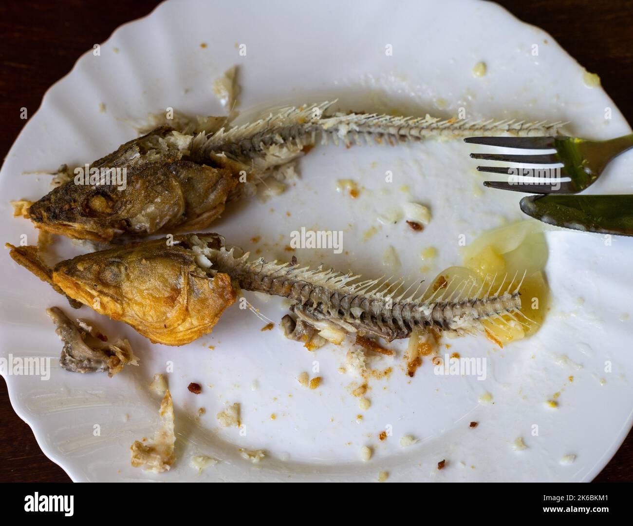 Top view of plate with fish bones with heads from tasty meal of fresh ...