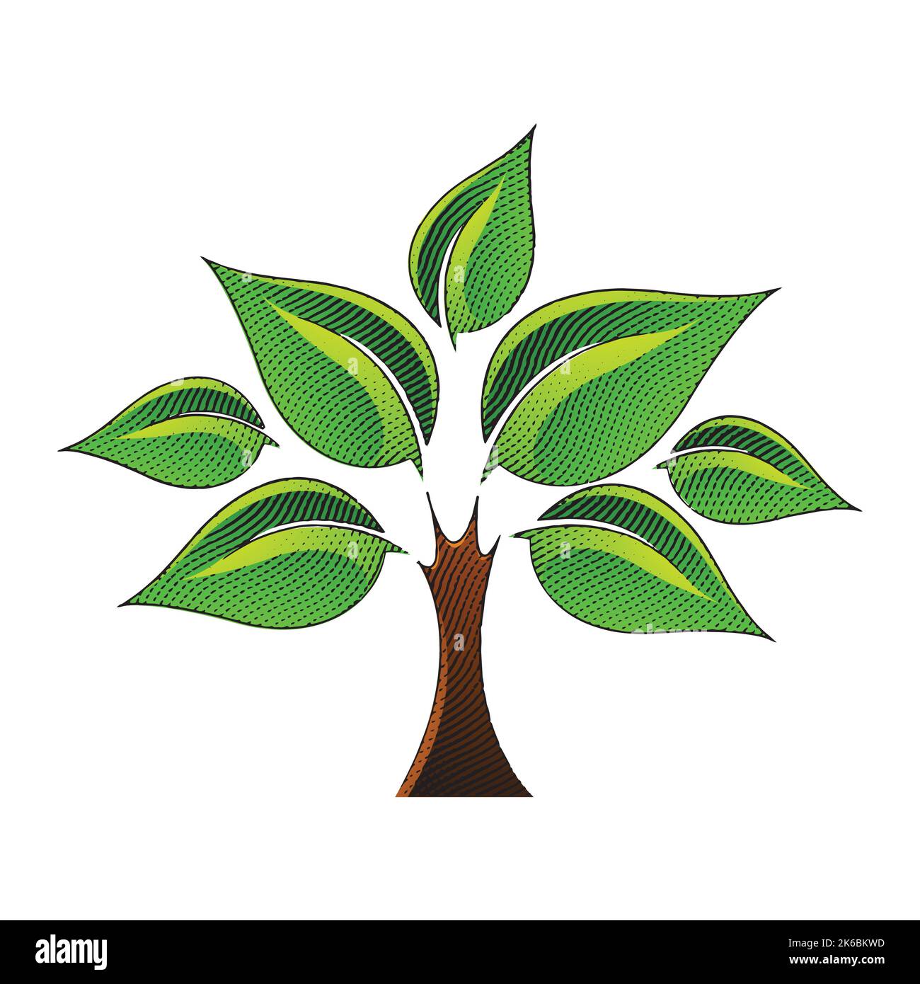 Illustration of Scratchboard Engraved Tree with Colorful Fill isolated ...