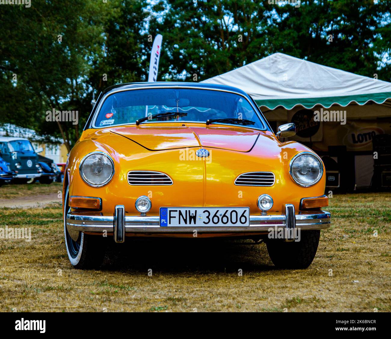 The orange Volkswagen beetle car on the grass Stock Photo - Alamy