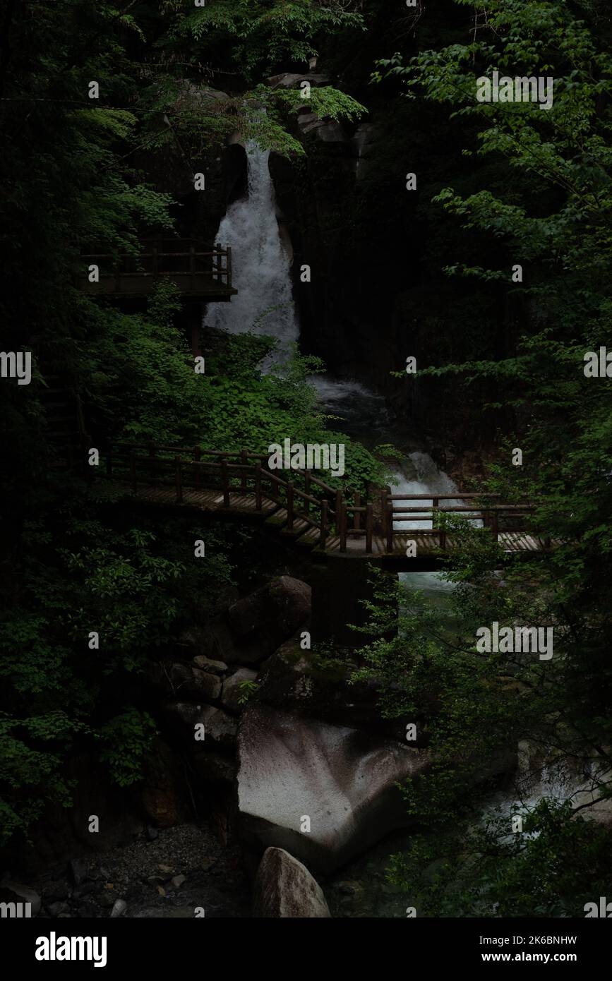 A vertical shot of Ryujin Waterfalls in dark forest in Nakatsugawa ...