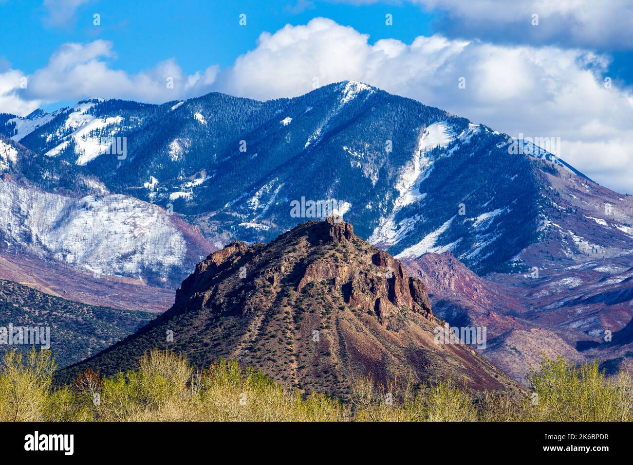 Extinct bysmalith hi-res stock photography and images - Alamy