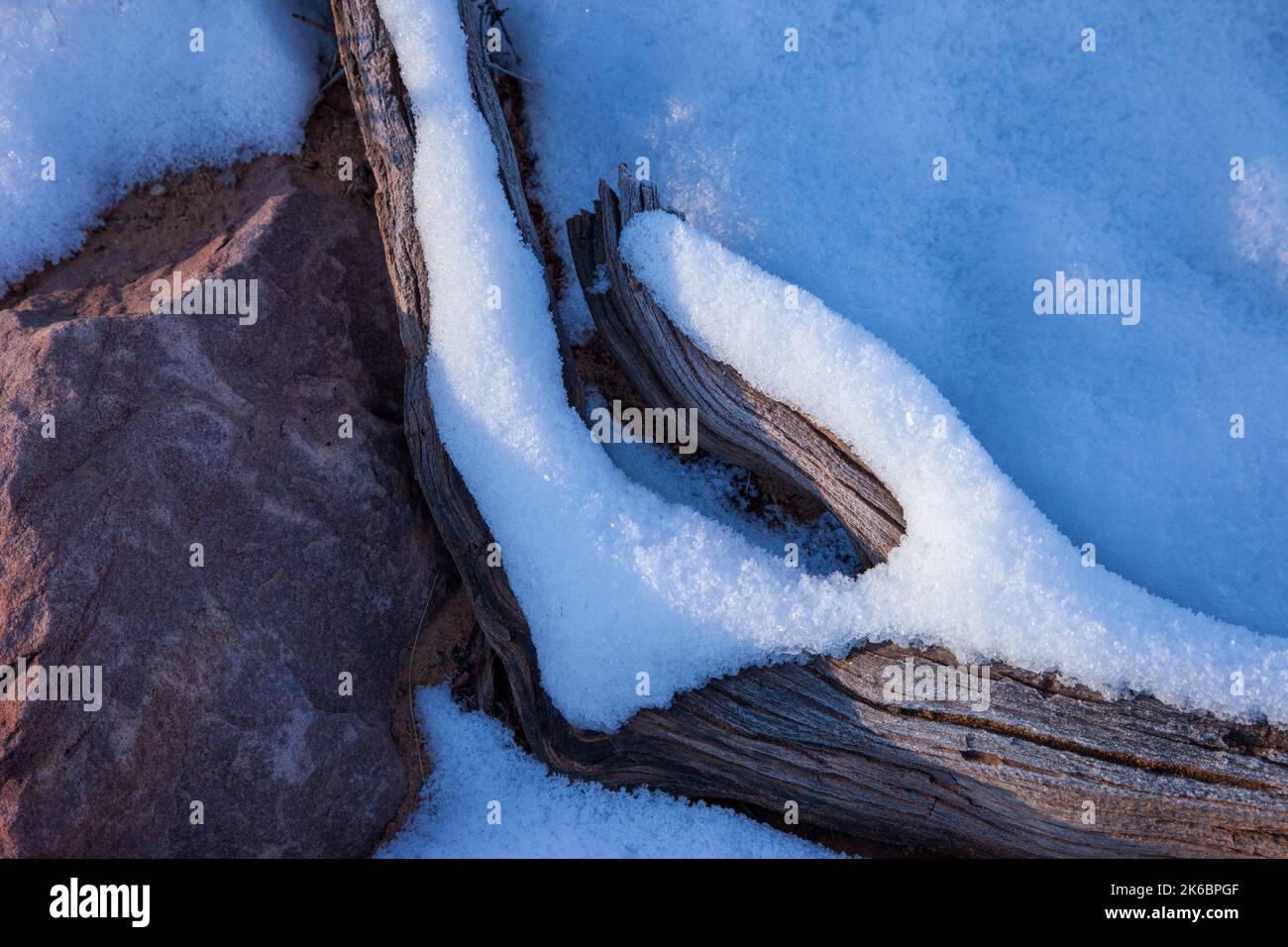 A dead juniper log with snow in winter in the Island in the Sky ...