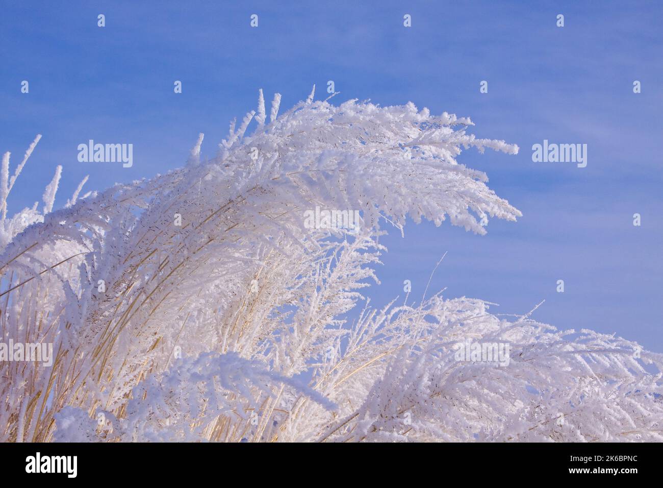 Image soft rime hi-res stock photography and images - Alamy