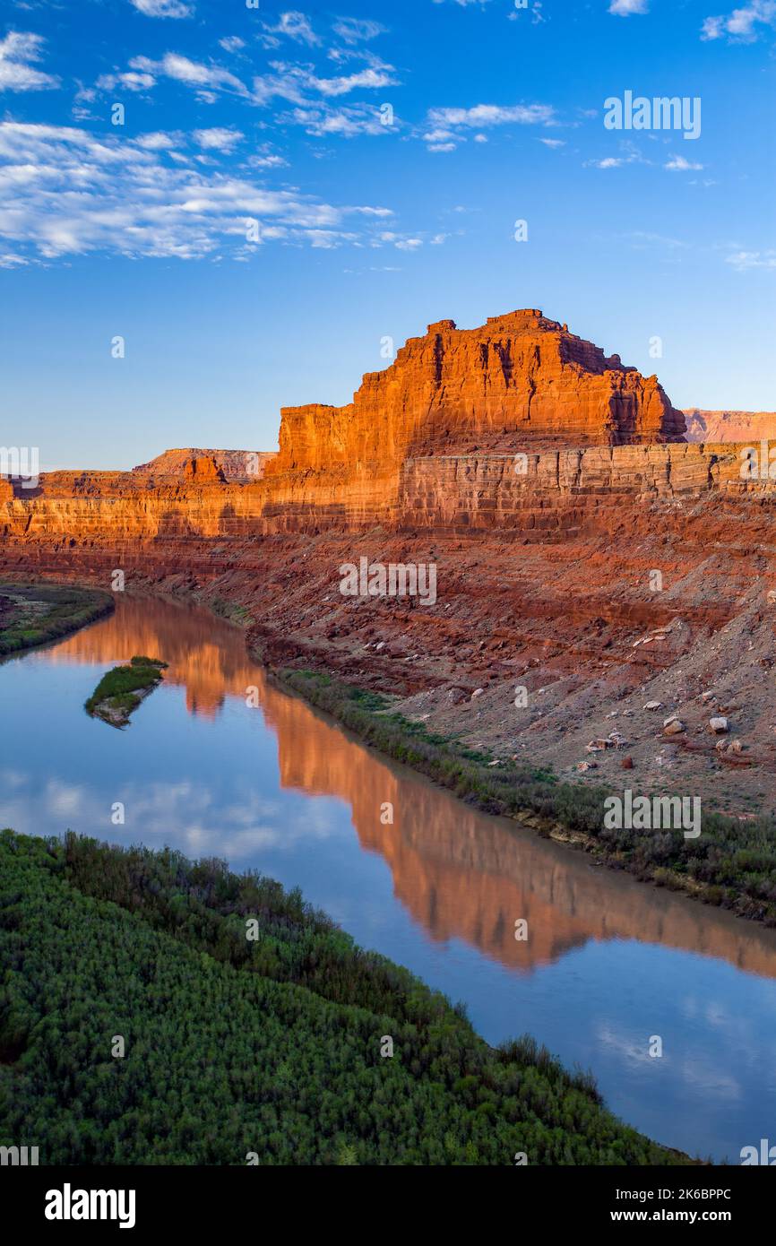 Moenkopi sandstone butte reflected in the Colorado River at the Goose ...