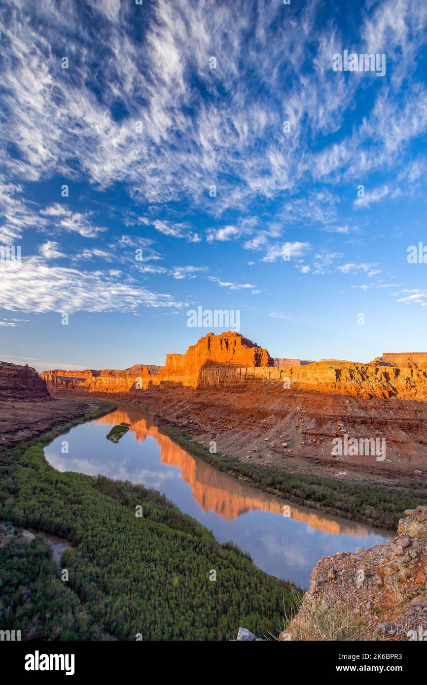 Moenkopi sandstone butte reflected in the Colorado River at the Goose ...