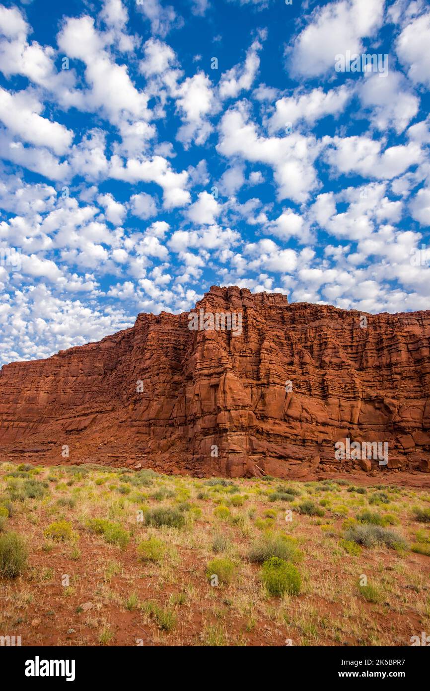 Neck of talus hi-res stock photography and images - Alamy