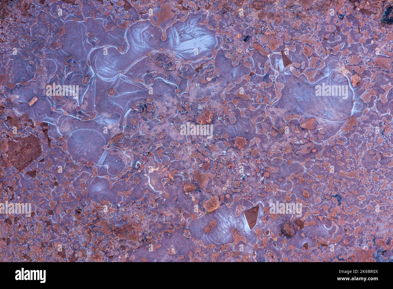 Frozen patterns in ice on sandstone in winter at Dead Horse Point State ...