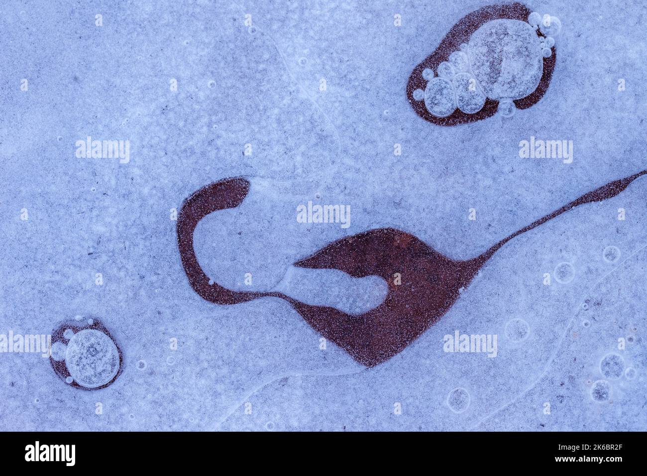 Frozen patterns in ice on sandstone in winter at Dead Horse Point State ...
