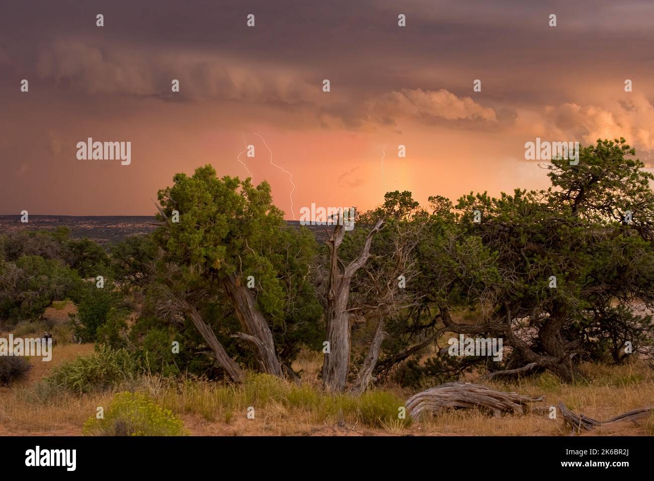Lightning from an approaching thunderstorm near Moab, Utah. In the ...
