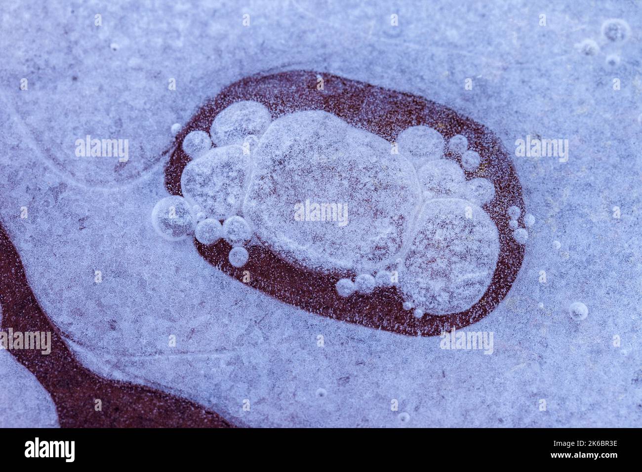 Frozen patterns in ice on sandstone in winter at Dead Horse Point State ...