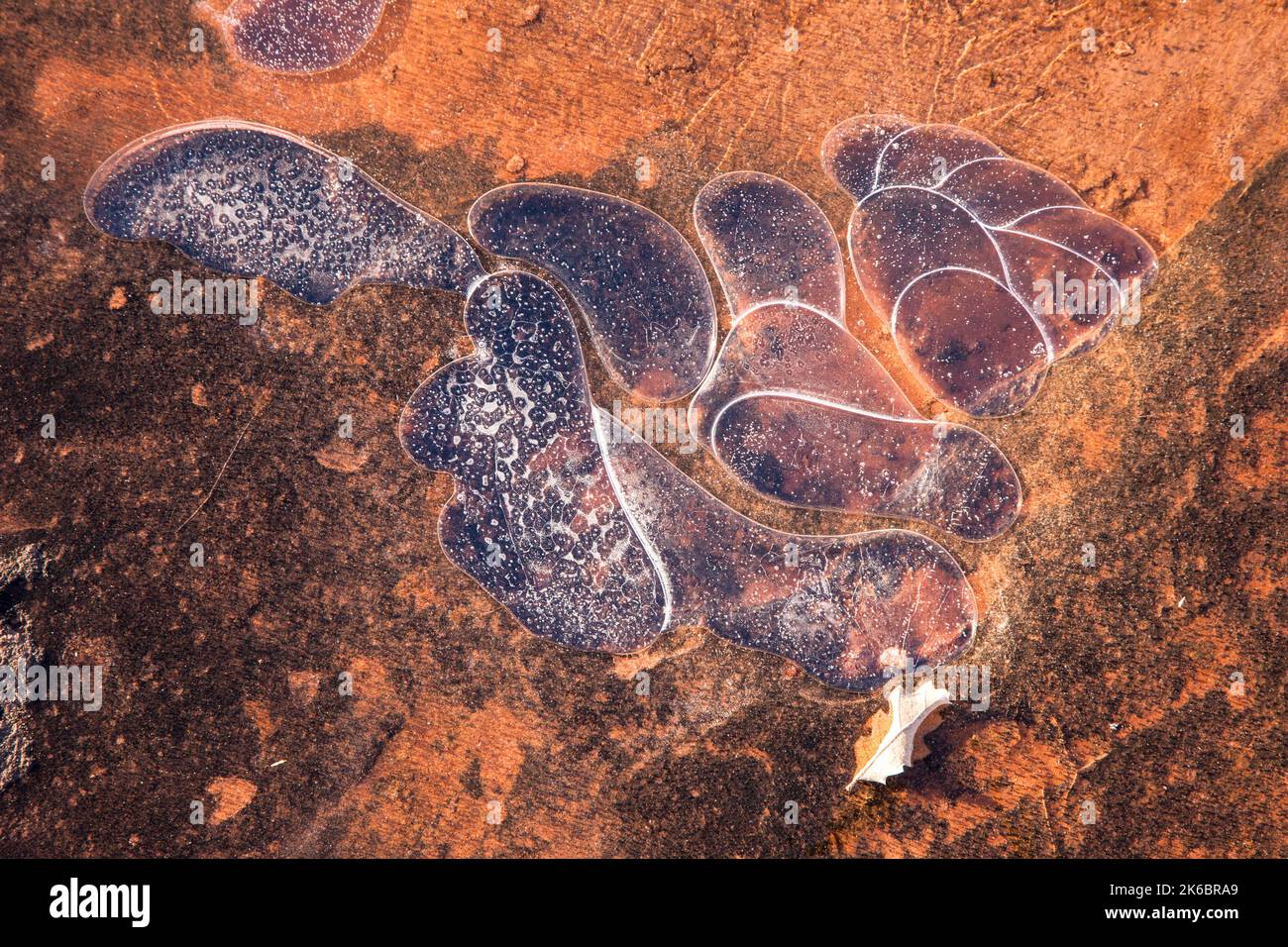 Frozen patterns in ice on sandstone in winter at Arches National Park ...