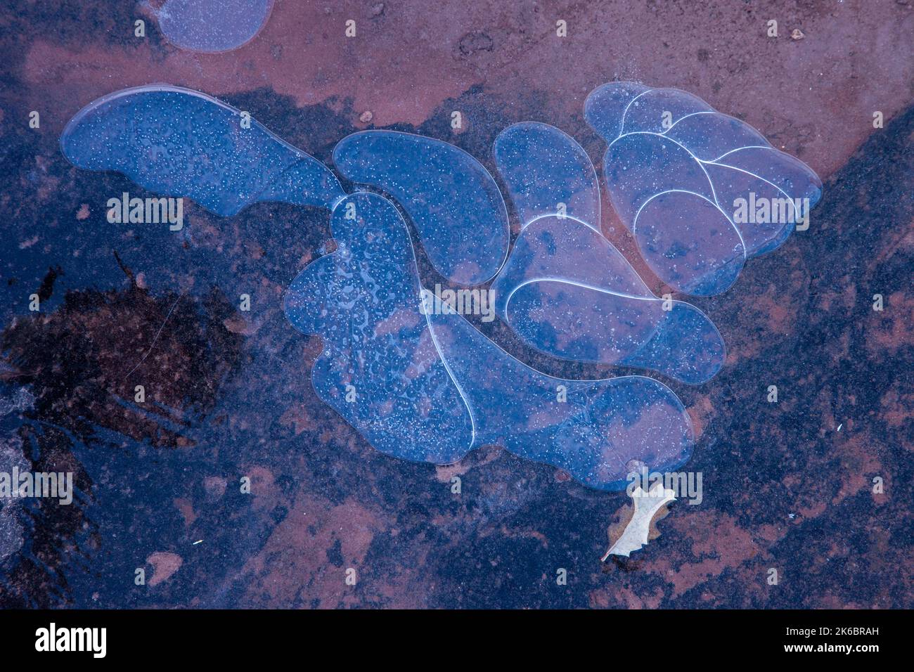 Frozen patterns in ice on sandstone in winter at Arches National Park ...